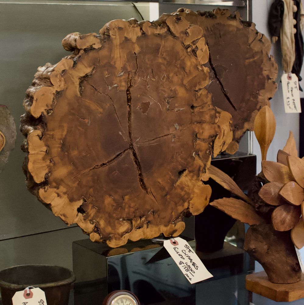 Shop Cypress sliced wood pair | Hunt & Gather